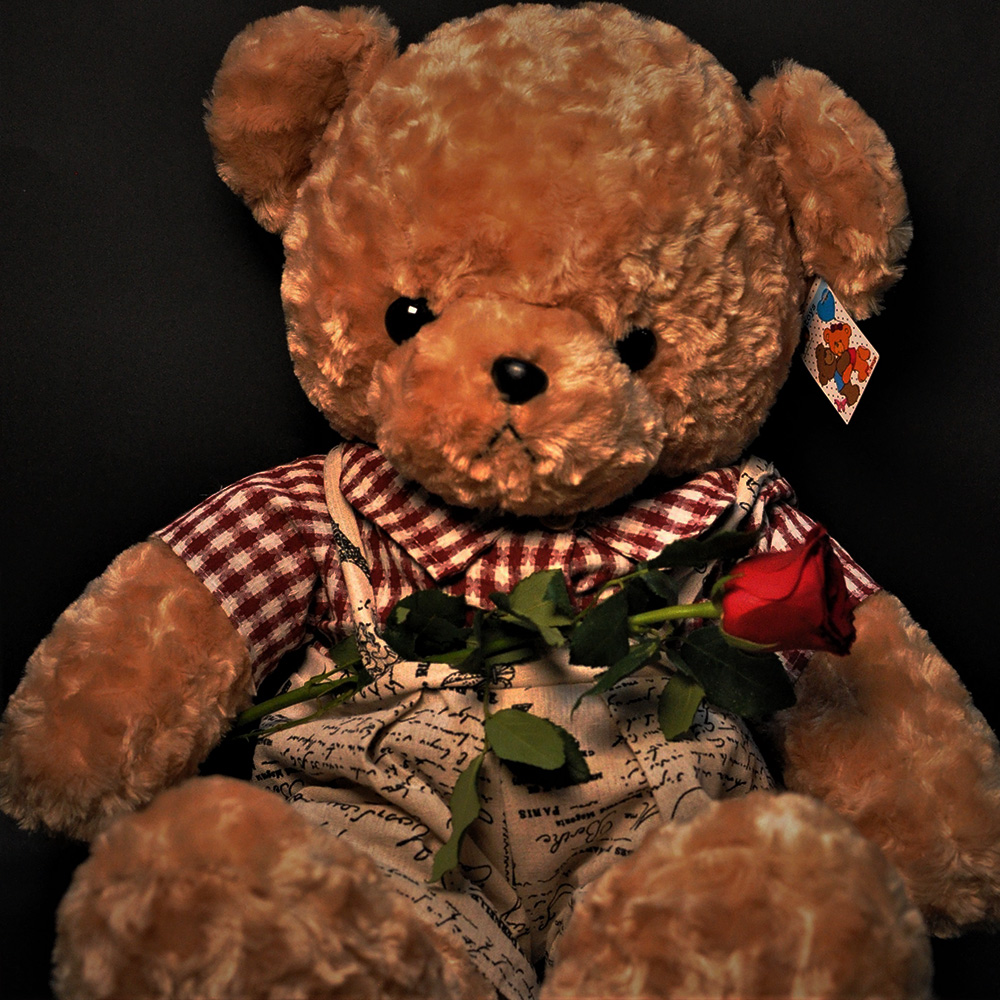 Crvena Ruža R14 Cvećara Decora